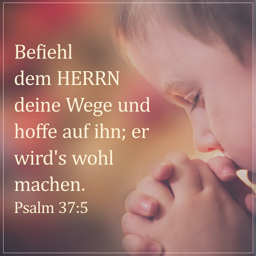 Biblische Bilder Psalm 37 5