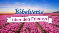 Bibelverse über den Frieden - Suche nach Wegen, um Frieden zu bekommen